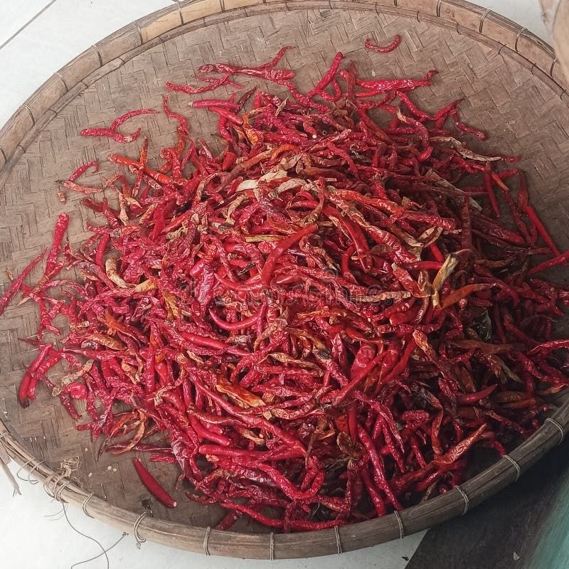 Red chilies in a container stock photo. Image of chilies - 375838664