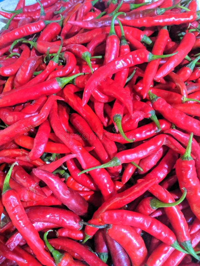 Red Chilies in a Traditional Market in Jakarta Stock Image - Image of ...