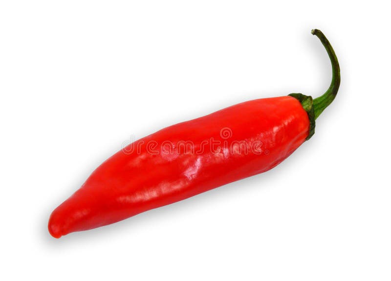Red Chilli stock photo. Image of vegetable, spicy, vibrant - 15370718