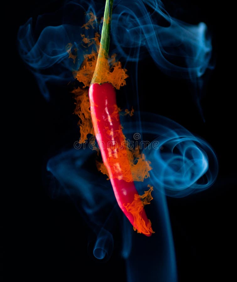 Red chilli stock image. Image of vegetables, colors, spicy - 24540799