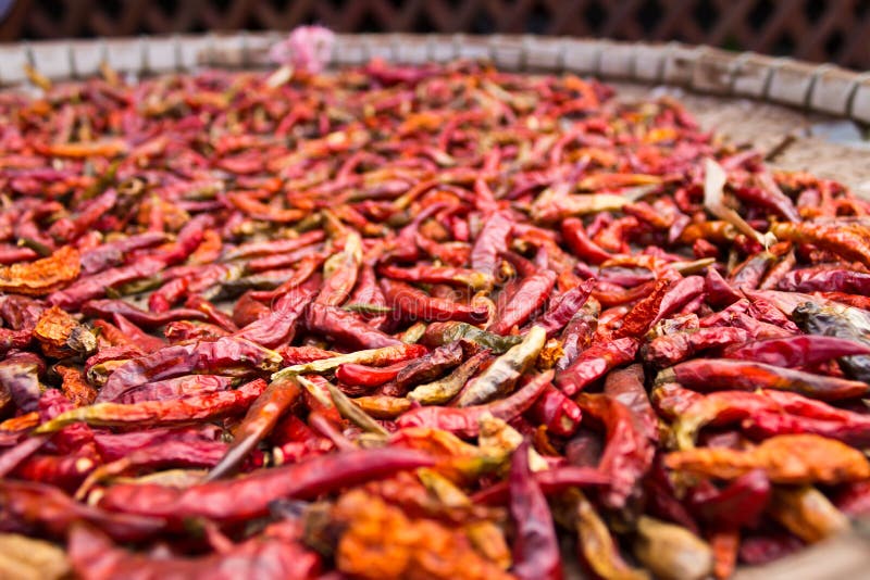 Red chilli stock photo. Image of asian, chilies, organic - 28799842