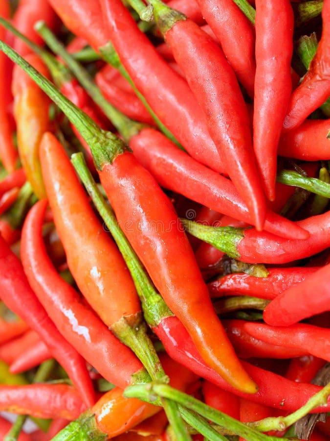 Butter Chicken stock photo. Image of cuisine, spicy, dining - 715948