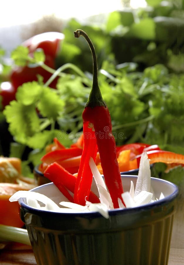 Red chilli stock photo. Image of peppers, pepper, vegetarian - 2900010