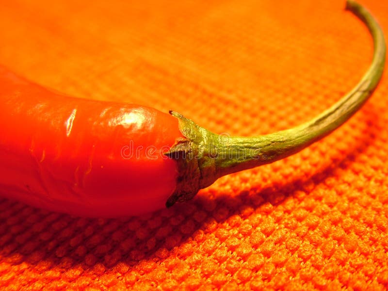 Red Chilli Picture. Image: 657215