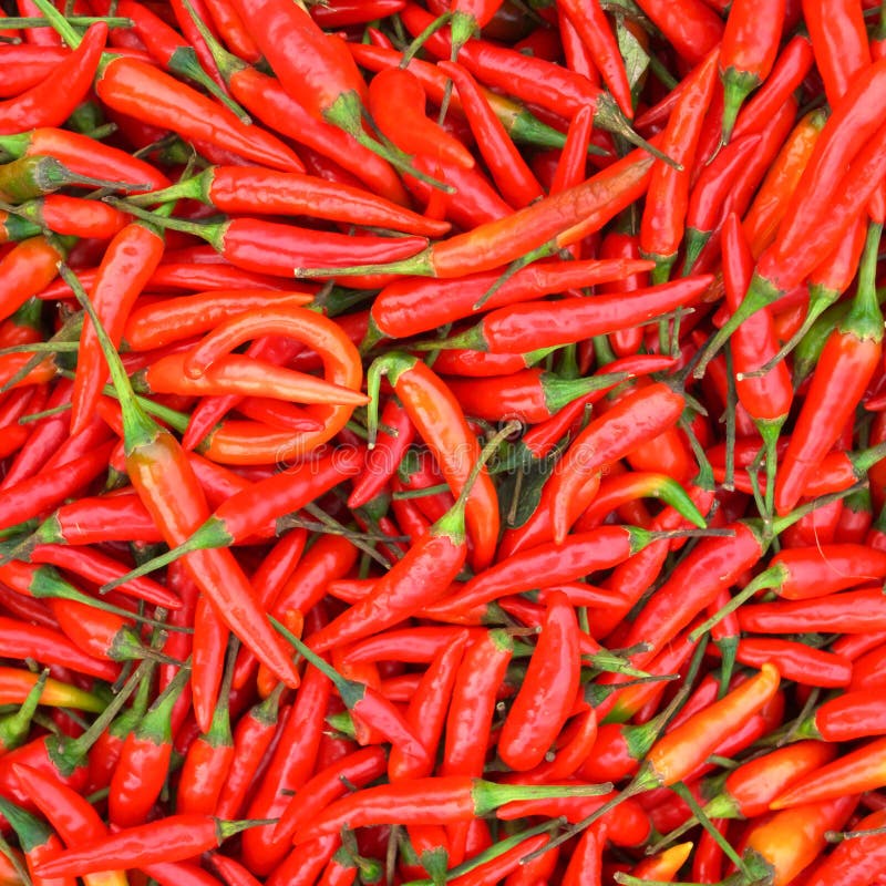 Red chilli background stock image. Image of cook, fiery - 23822763