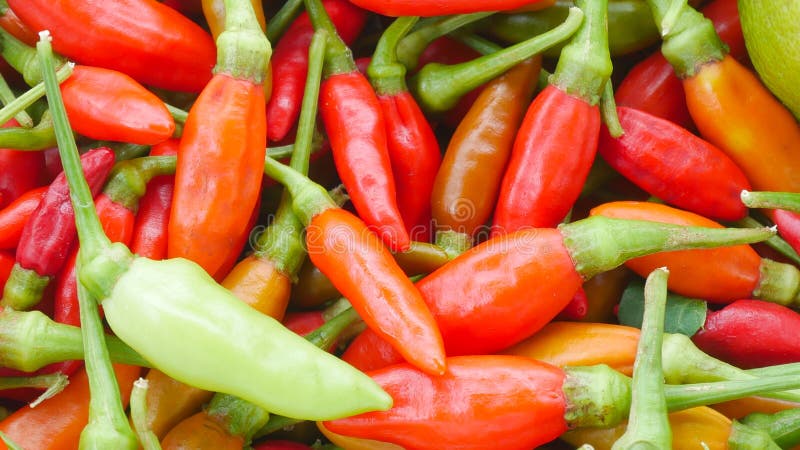 Red Chilli Background in Cooking Stock Image - Image of cuisine, fresh ...