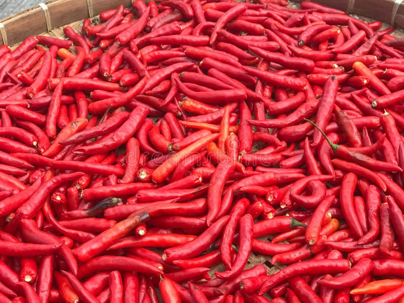 Red chilli on bamboo tray stock image. Image of chilli - 132088127