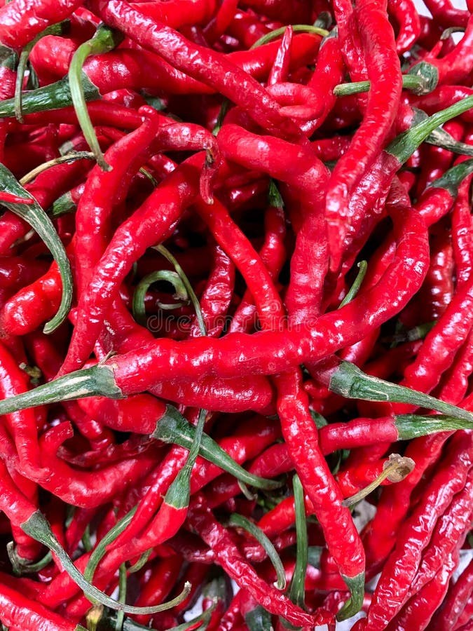 Red chilli stock image. Image of spicy, chillies, ingredient - 253036251