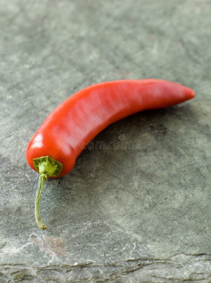 Red Chilli. Conceptual Image Stock Photo - Image of food, taste: 186530960