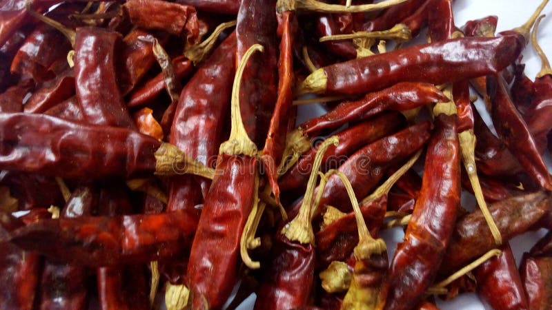 Red chilli stock image. Image of spicy, wallpaper, food - 100601341