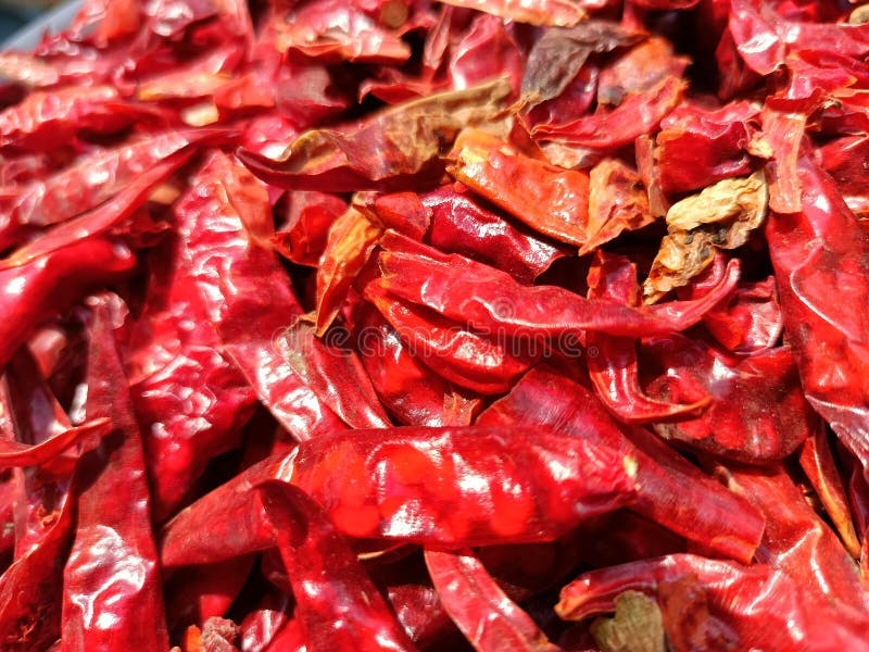Red Chilli Drying in Sunlight in India Stock Image - Image of sunlight ...