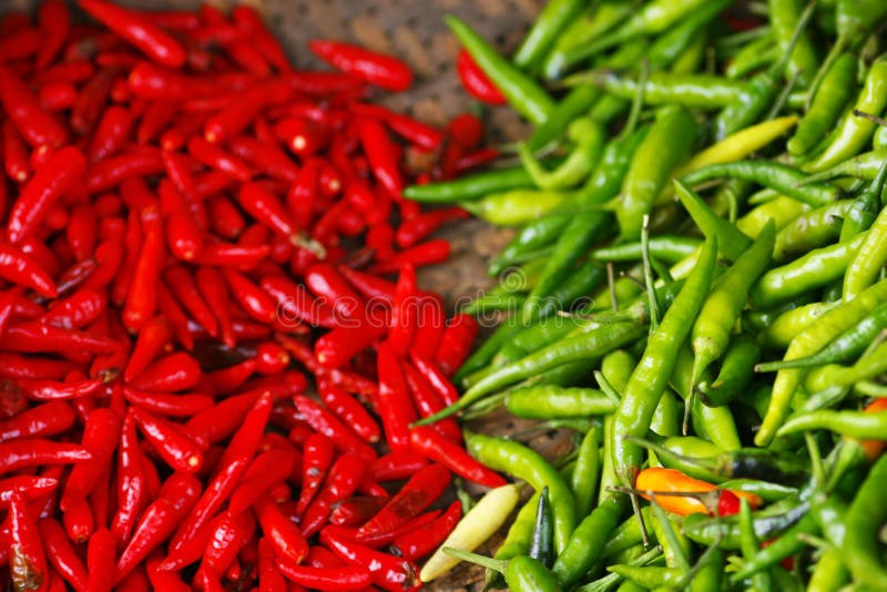 Red Chilli and Green Chilli Stock Photo - Image of salsa, detail: 6629930