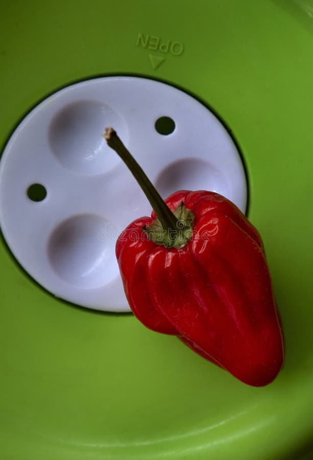 Red Chilli on Green Plastic Container for Fridge Studio Shot Kalyan ...