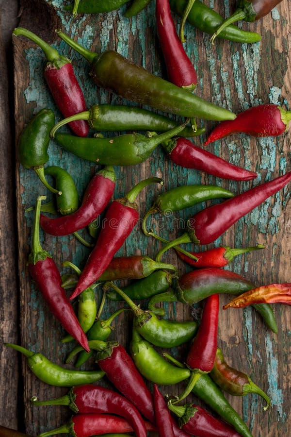 A Red Chilli in Green Plant Stock Photo - Image of chilli, single ...