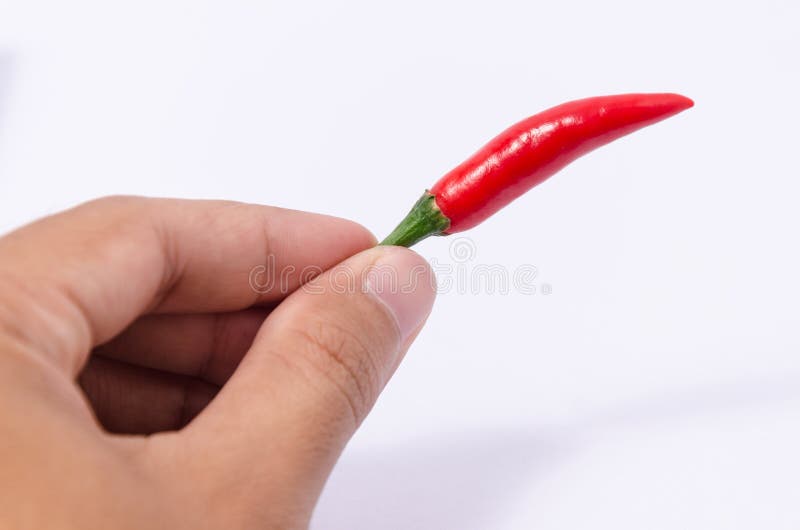 Red Chilli in Hand Isolated on White Background Stock Photo - Image of ...