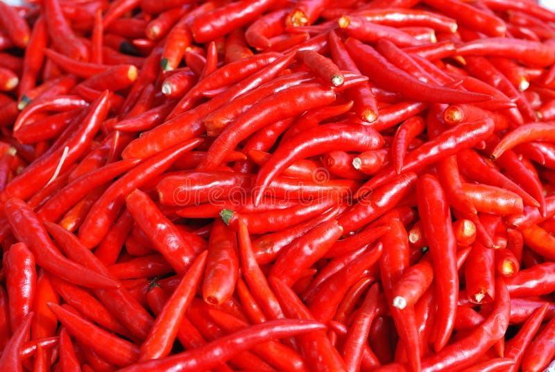 Red chilli stock image. Image of seasoning, food, spicy - 33204719