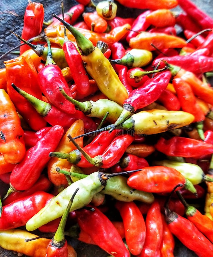 Red Chilli Hot Cayenne Pepper Stock Photo - Image of chilli, gourd ...