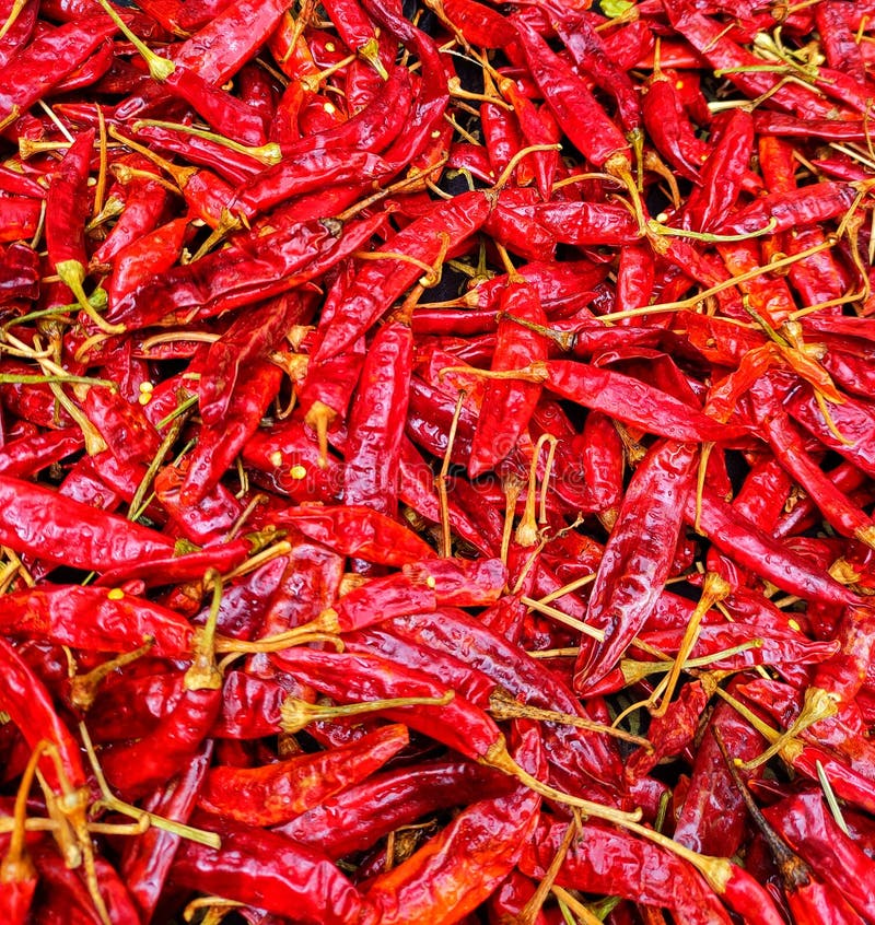 Red Chilli Hot and Spicy Chilli Stock Photo - Image of tasty, chilli ...