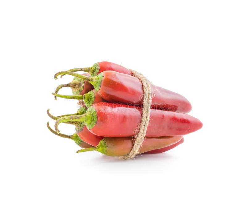 Red Chilli stock photo. Image of chile, chily, chilli - 105608084