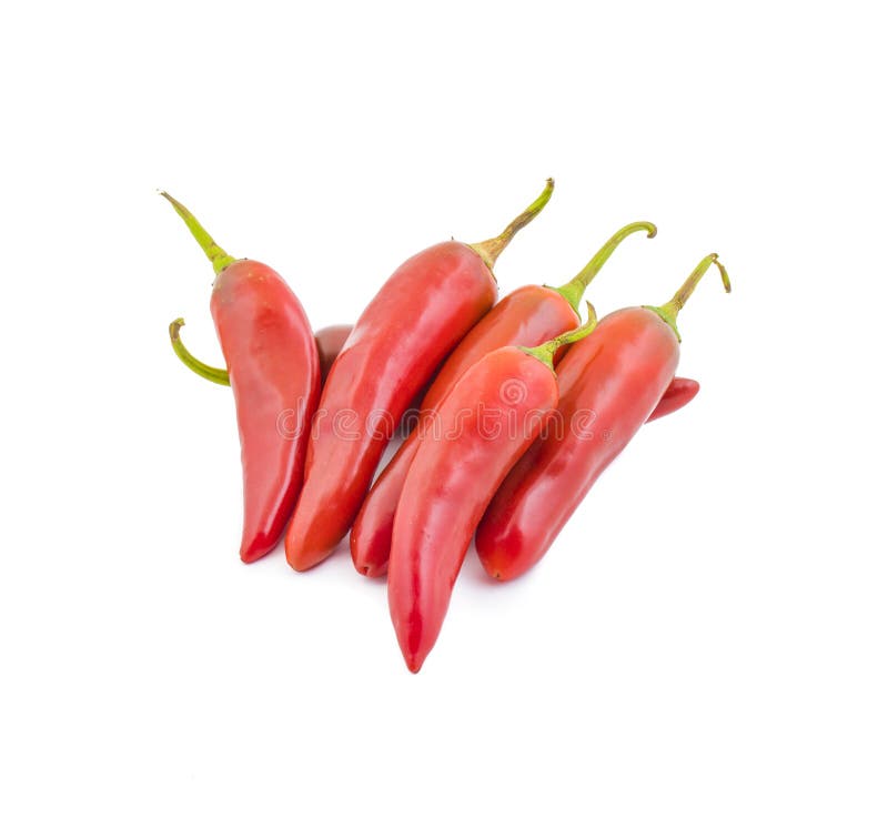 Red Chilli stock photo. Image of clean, clear, freshness - 105607830