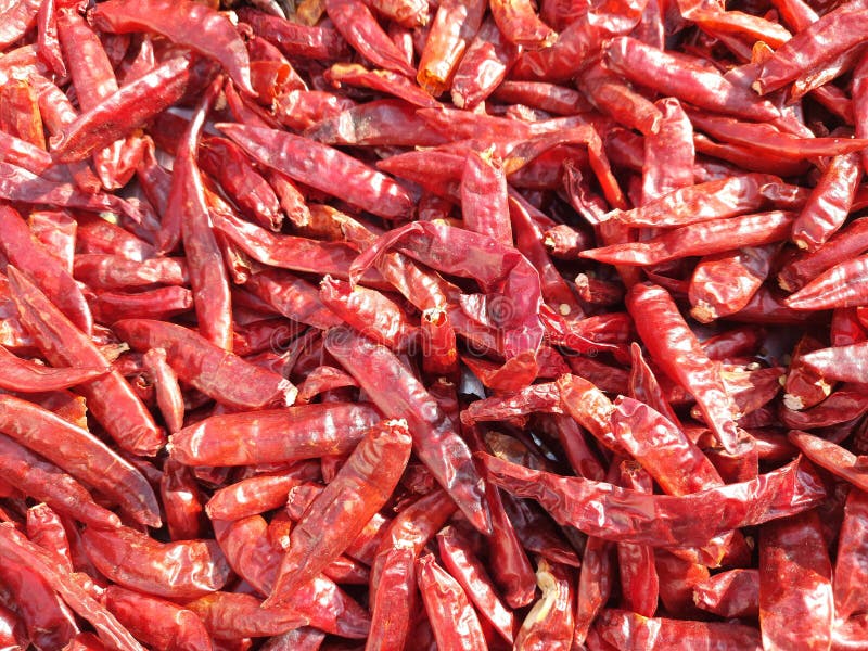 Red Chilli & X28;Lal Mirch& X29; Stock Photo - Image of mirch, spice ...