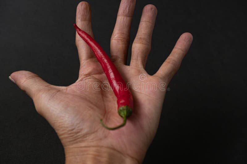 Red chilli on the hand stock photo. Image of holding - 321361080