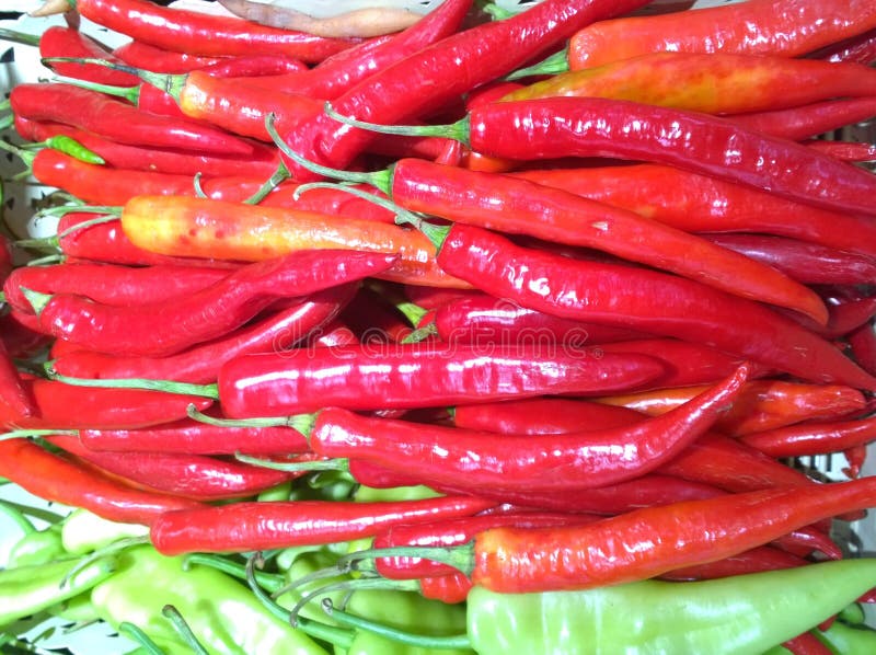 The Red chilli in a market stock photo. Image of marketn - 75699900