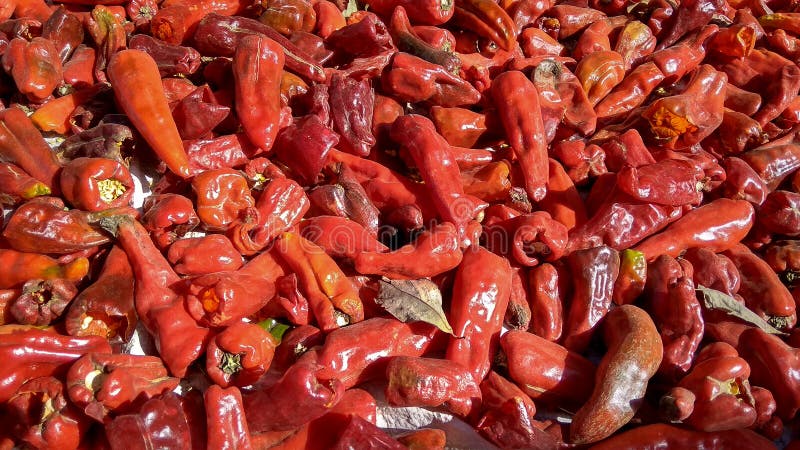 Red chilli paper (spicy) stock photo. Image of spicy - 175911070