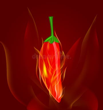 Red Chilli Fire Stock Illustrations – 5,777 Red Chilli Fire Stock ...