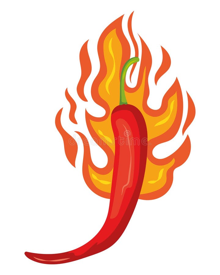 Red chilli pepper on fire stock vector. Illustration of cuisine - 300277837