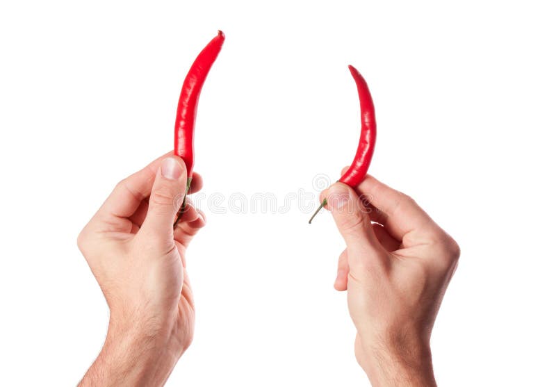 Red chilli pepper in hand stock image. Image of condiment - 110458705