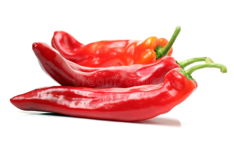 Red chilli pepper stock photo. Image of white, paprika - 105559106