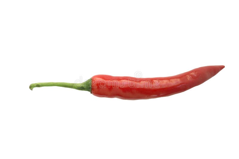 Red Chilli Pepper stock photo. Image of picante, jazz - 40666866