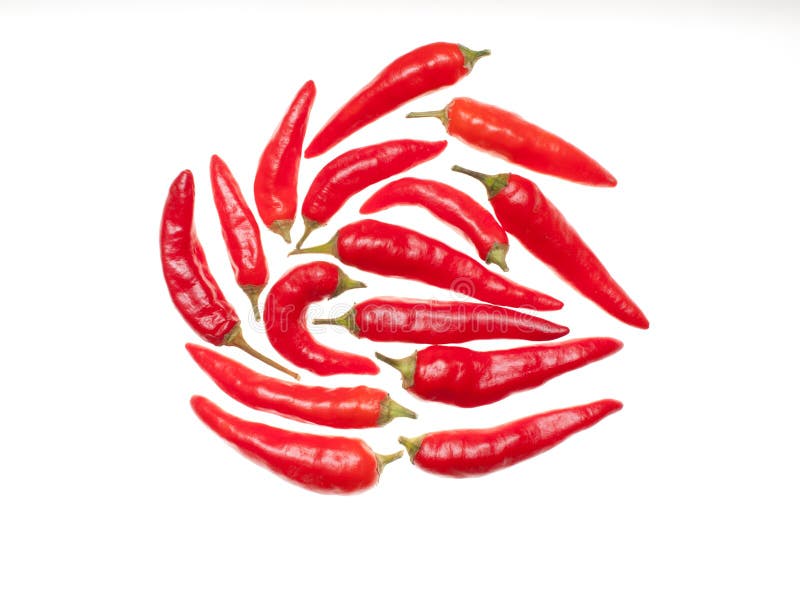 Red Chilli Peppers stock photo. Image of scale, intense - 37526528