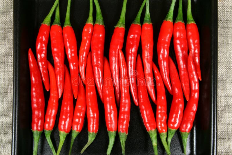 Long Red Chile Peppers -- Capsicum Annuum Amando Stock Photo - Image of ...