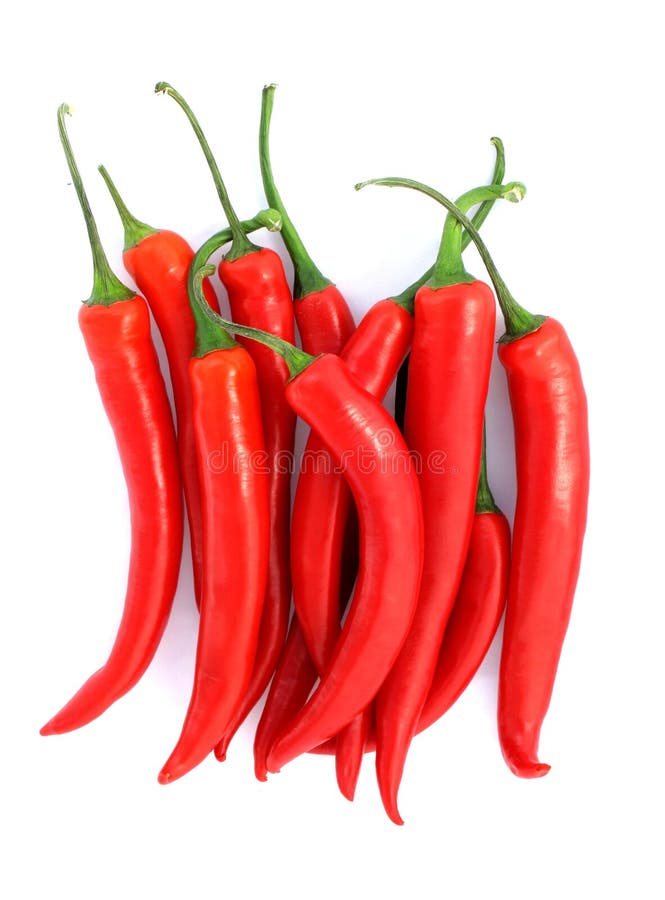 Red Chilli Peppers stock photo. Image of organic, peppers - 9573464