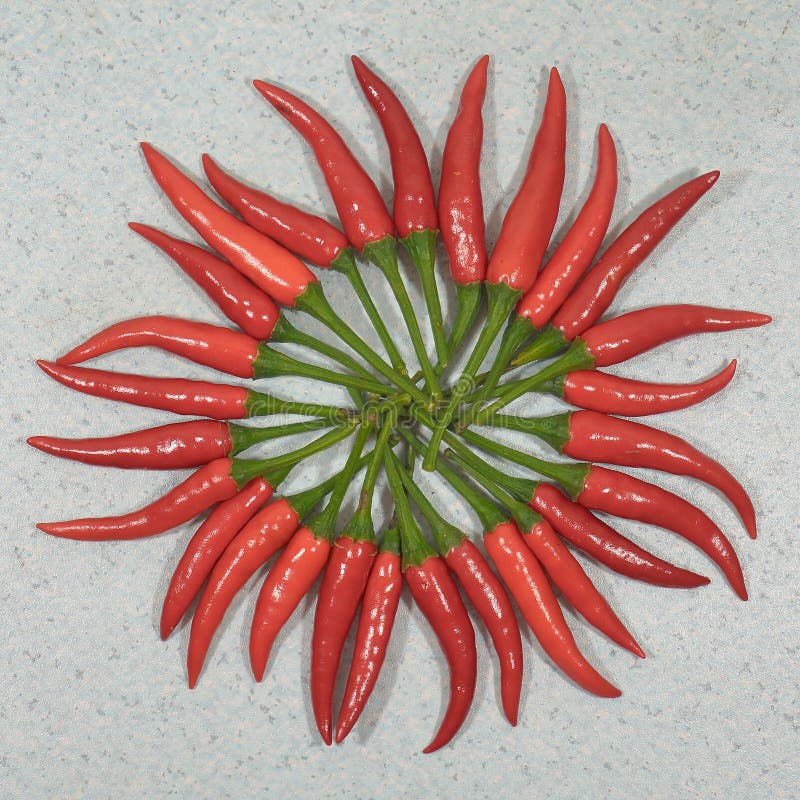 Red Peppers Arranged in Circular Shape Stock Image - Image of chilli ...