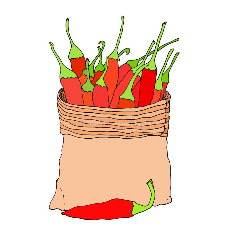 Red Chilli Peppers in a Canvas Bag. Hand Drawn Vector Sketch Stock ... Red Chilli Peppers in a Canvas Bag. Hand Drawn Vector Sketch Stock ...