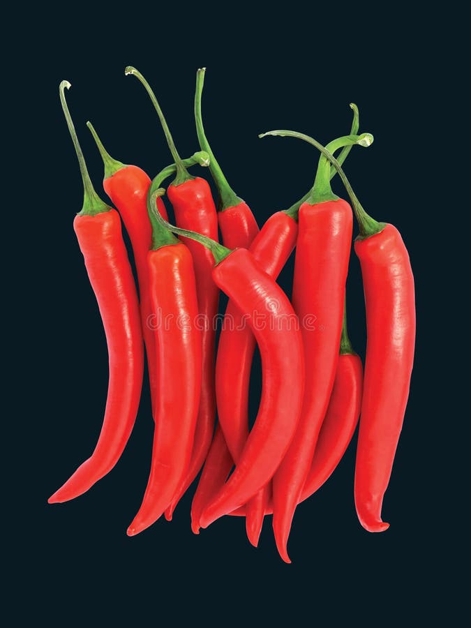 Red Chilli Peppers stock photo. Image of organic, peppers - 9573464