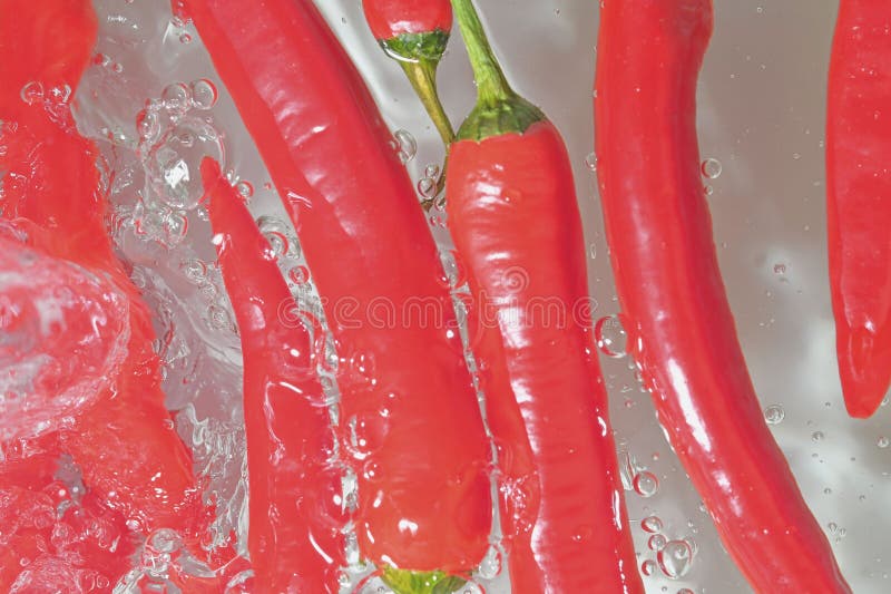 Red Chilli Peppers Close-up in Liquid with Bubbles. Red Chilli Peppers ...