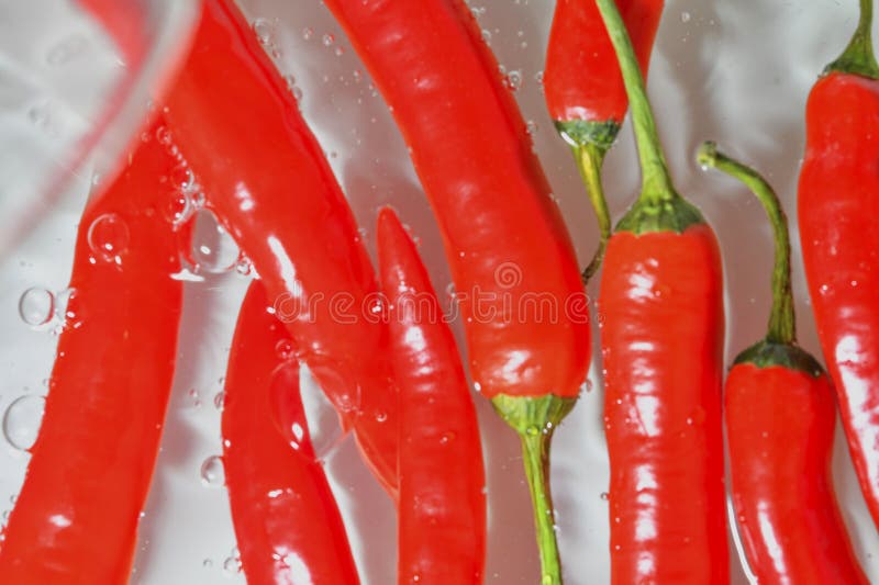 Red Chilli Peppers Close-up in Liquid with Bubbles. Red Chilli Peppers ...
