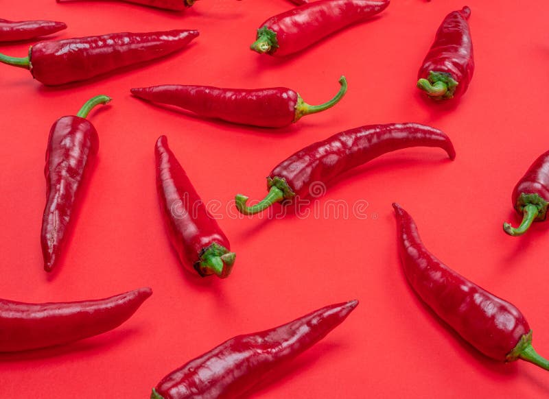 Red Chilli Peppers Isolated on Red Background Stock Image - Image of ...