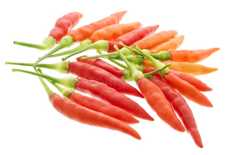 Red chilli stock image. Image of ingredient, health, chilli - 48852003