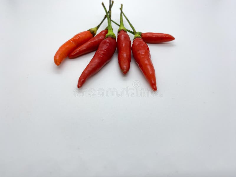 Red Chilli Peppers Isolated on White with Copy Space. Use for Food ...