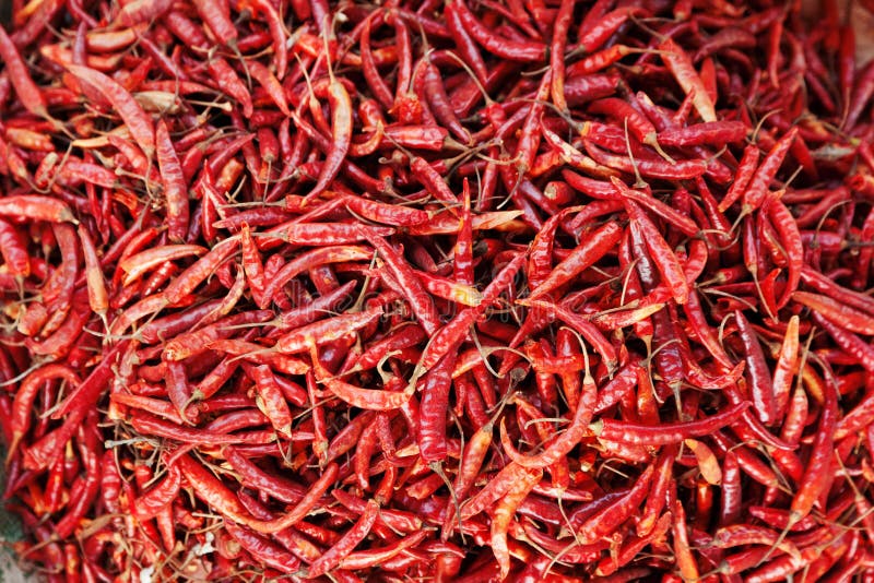 Red chilli peppers stock photo. Image of inle, snack - 48950198