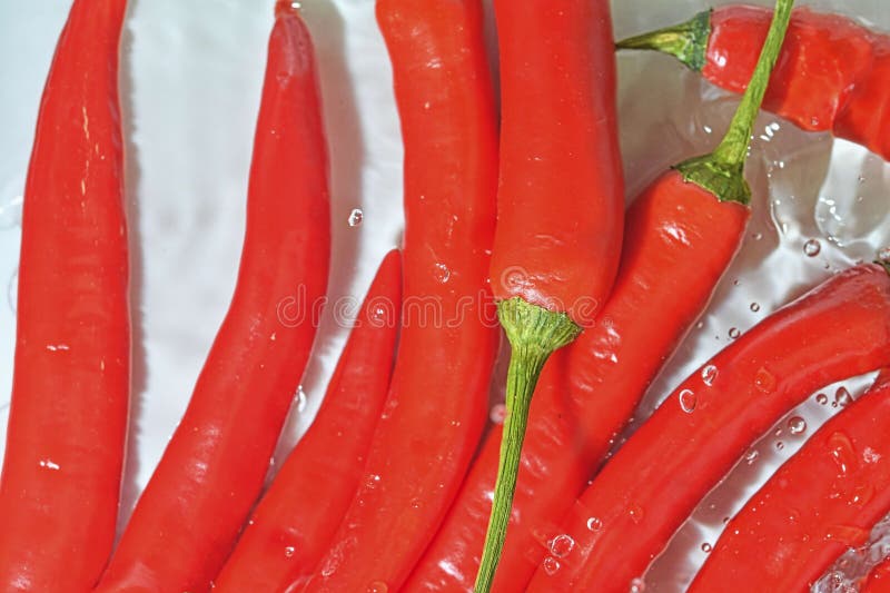 Red Chilli Peppers on White Background. Hot Chilli Peppers Close-up in ...