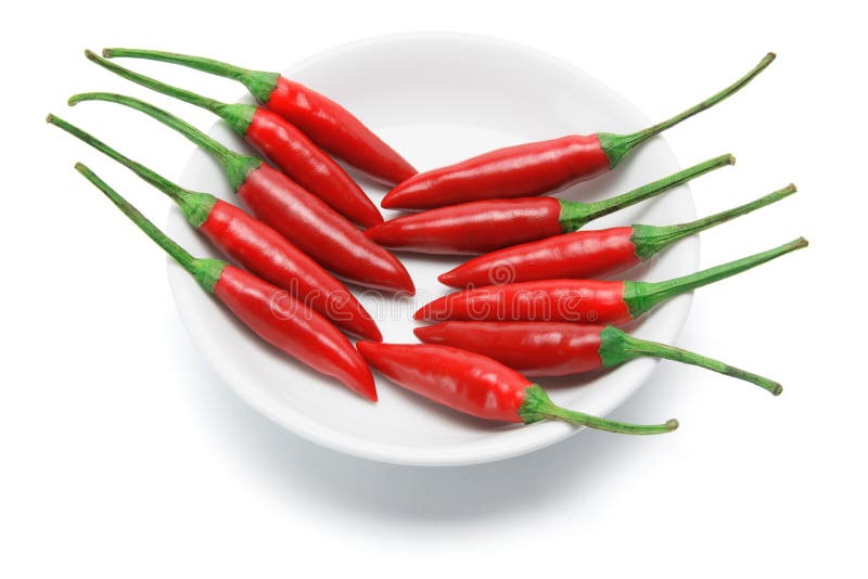 Red Chilli on Plate stock image. Image of life, organic - 16978483