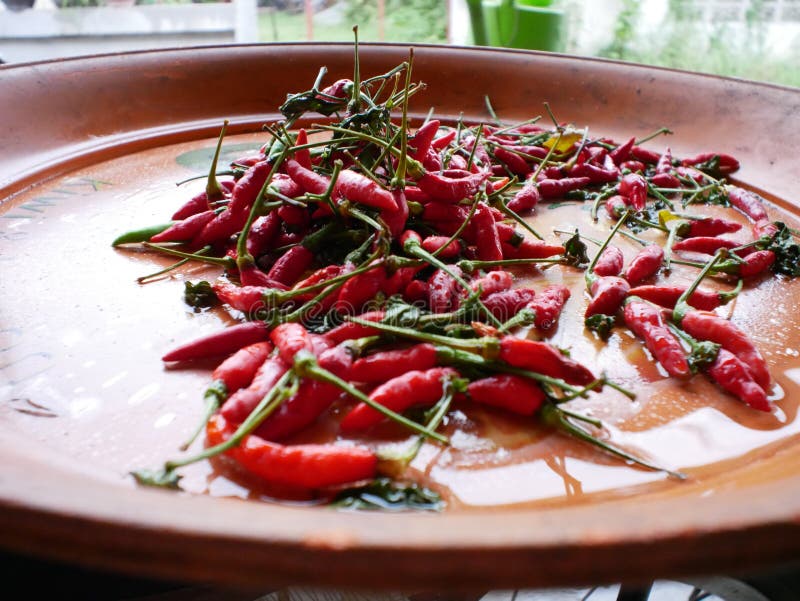 Red chilli in red tray stock image. Image of rain, splash - 125223459