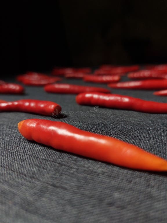 Red Chilli Seeds Scattered at a Low Angle Stock Photo - Image of quail ...