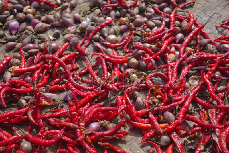 Red Chilli and Shallot Dry in the Sun Stock Image - Image of seafood ...